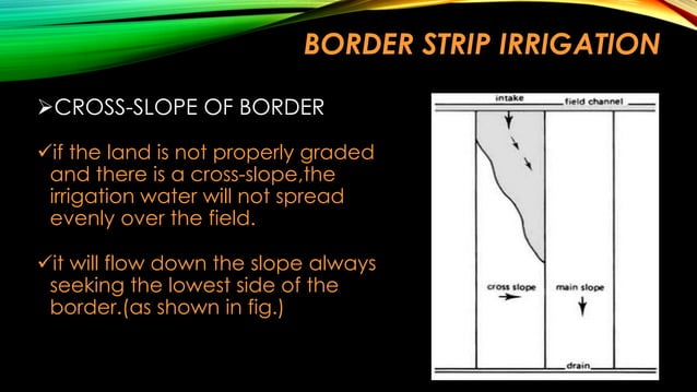 check basin , furrow and border strip method | PDF
