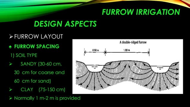 check basin , furrow and border strip method | PDF