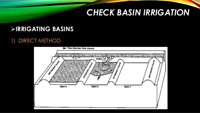 check basin , furrow and border strip method
