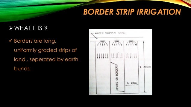 check basin , furrow and border strip method