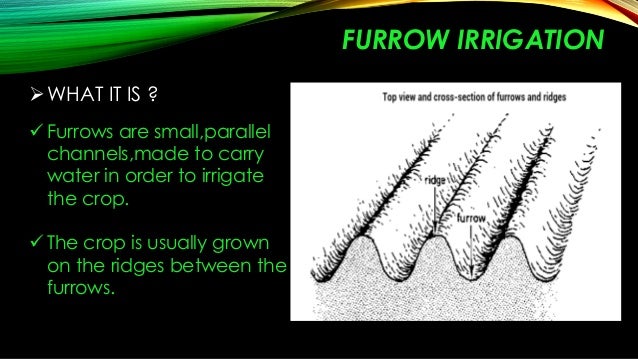 check basin , furrow and border strip method