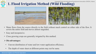 Irrigation history and methods | PPT
