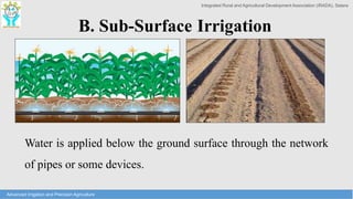 Irrigation history and methods | PPT