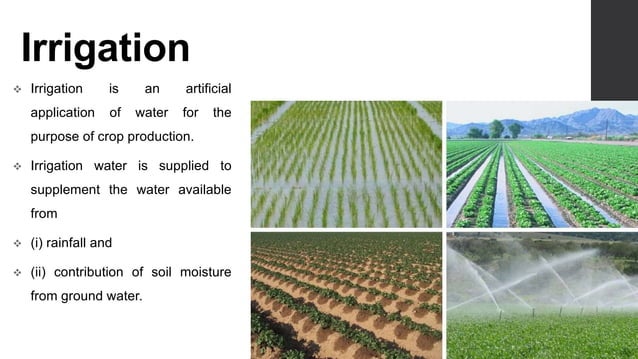 Irrigation introduction | PPTX | Agriculture | Industries