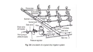 Irrigation, Irrigation scheduling criteria and methods,.pptx