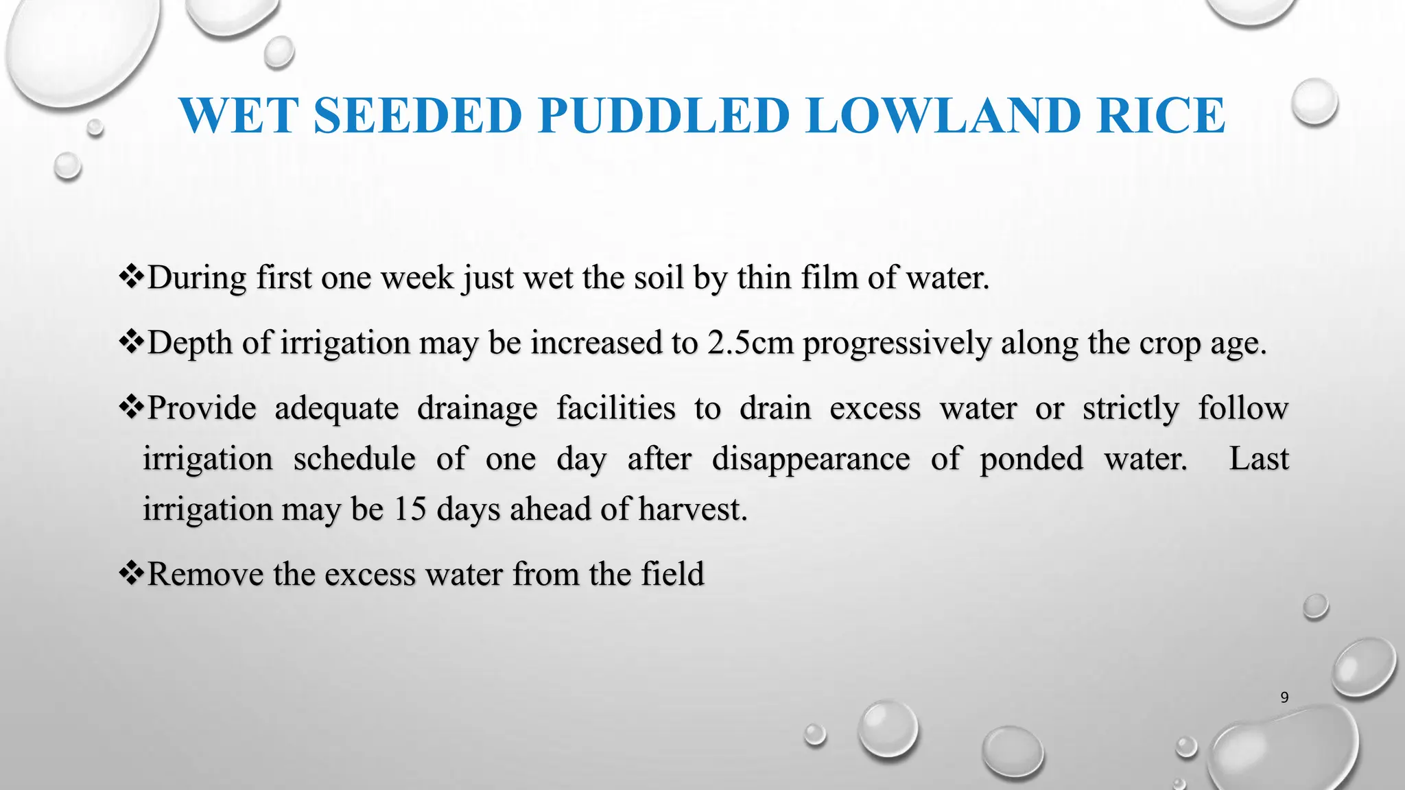 IRRIGATION MANAGEMENT FOR CEREALS CROPS LIKE RICE WHEAT MAIZE OATS ...