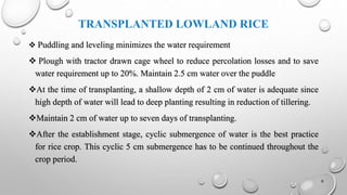 IRRIGATION MANAGEMENT FOR CEREALS CROPS LIKE RICE WHEAT MAIZE OATS ...
