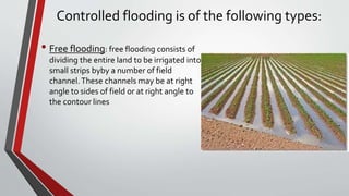 Irrigation methods | PPTX