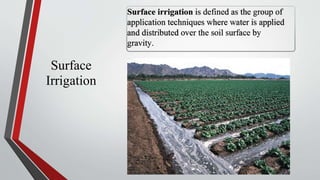 Irrigation methods | PPTX