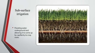 Irrigation methods | PPTX