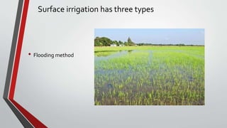 Irrigation methods | PPTX