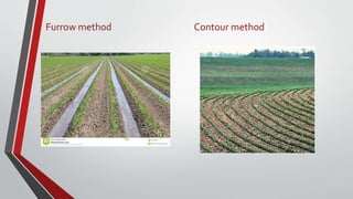 Irrigation methods | PPTX