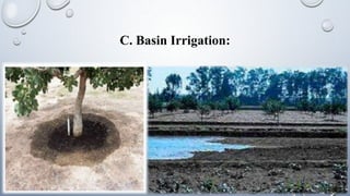 Irrigation methods | PPTX
