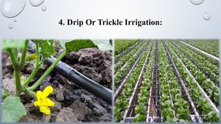 Irrigation methods | PPTX