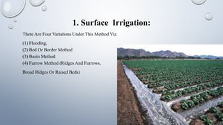 Irrigation methods | PPTX