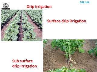 Irrigation methods agriculture engineering | PPTX