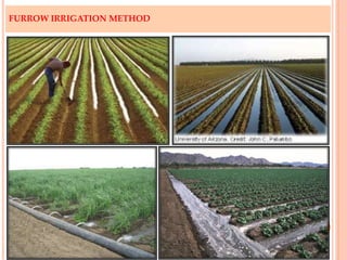 IRRIGATION METHODS AND ITS USES IN HORTICULTURE | PPTX