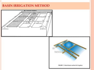 IRRIGATION METHODS AND ITS USES IN HORTICULTURE | PPTX
