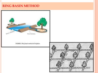 IRRIGATION METHODS AND ITS USES IN HORTICULTURE | PPTX