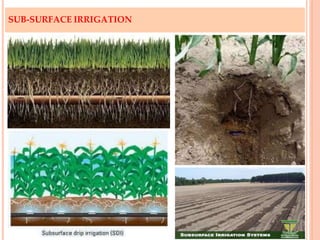 IRRIGATION METHODS AND ITS USES IN HORTICULTURE | PPTX