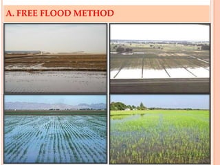 IRRIGATION METHODS AND ITS USES IN HORTICULTURE | PPTX