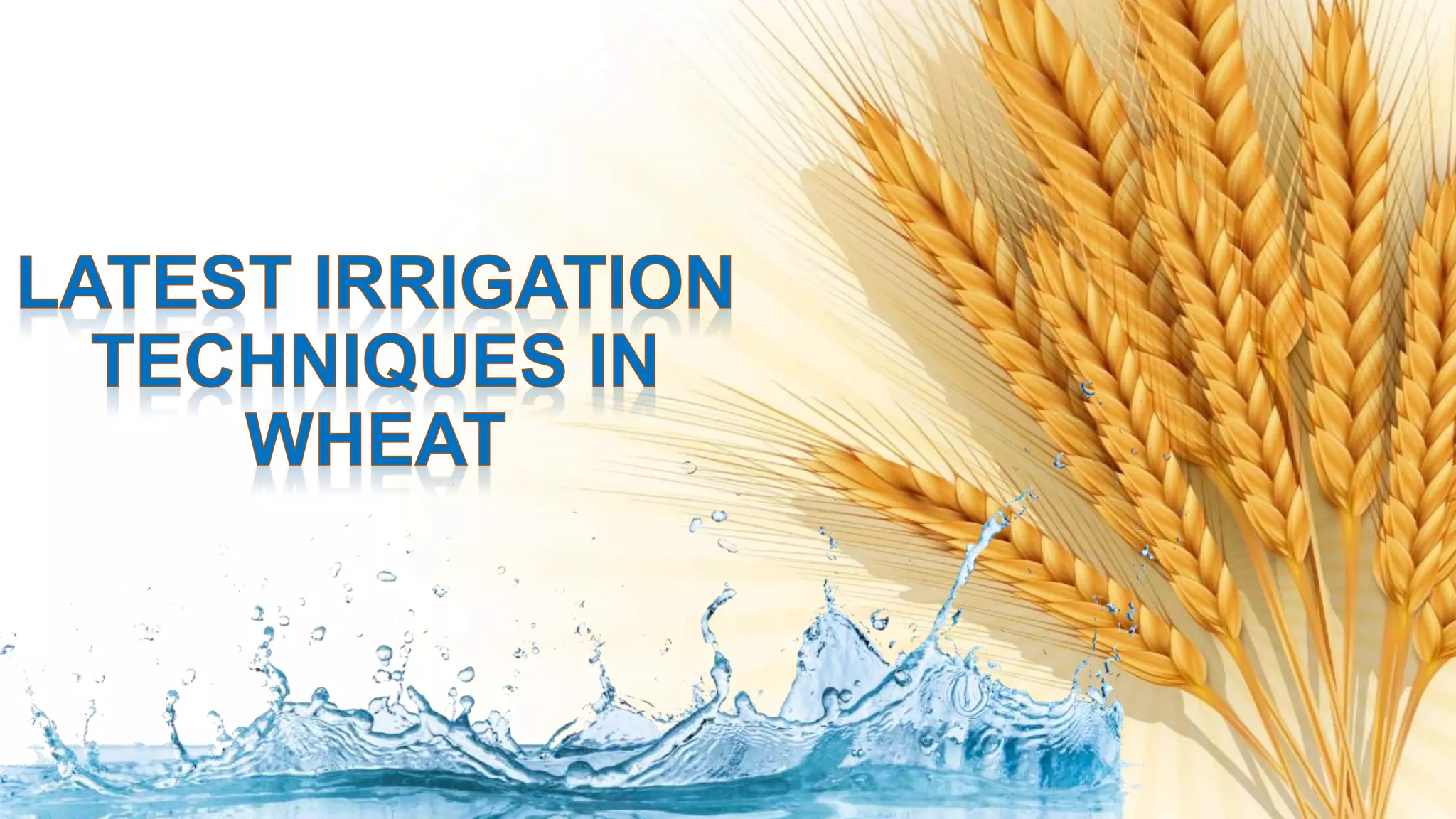 Irrigation methods in wheat | PPTX | Agriculture | Industries