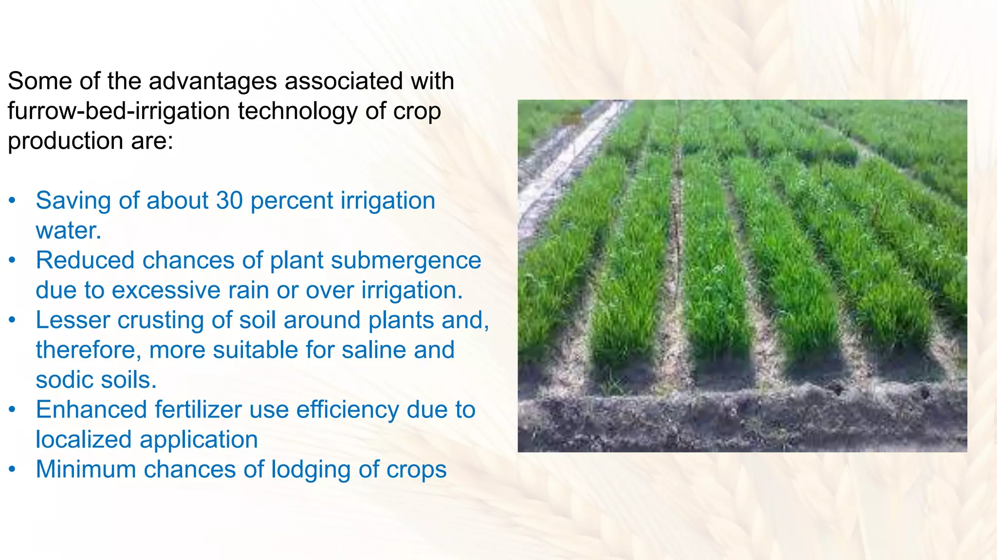 Irrigation methods in wheat | PPTX