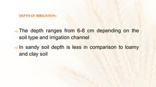 Irrigation methods in wheat | PPTX