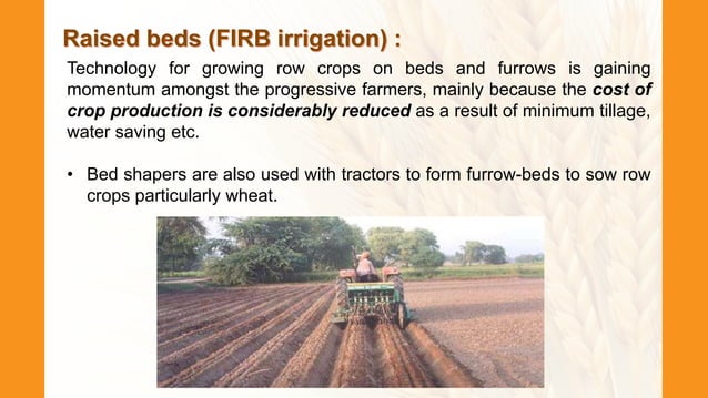 Irrigation methods in wheat | PPTX | Agriculture | Industries