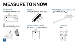Irrigation of Controlled Environment Crops—Part 4: Balancing Light ...