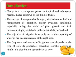 Irrigation management in mango, Irrigation in mango | PPTX