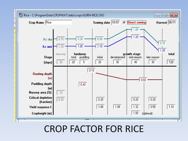 Irrigation planning with the help of cropwat 8.0 | PPTX | Agriculture ...