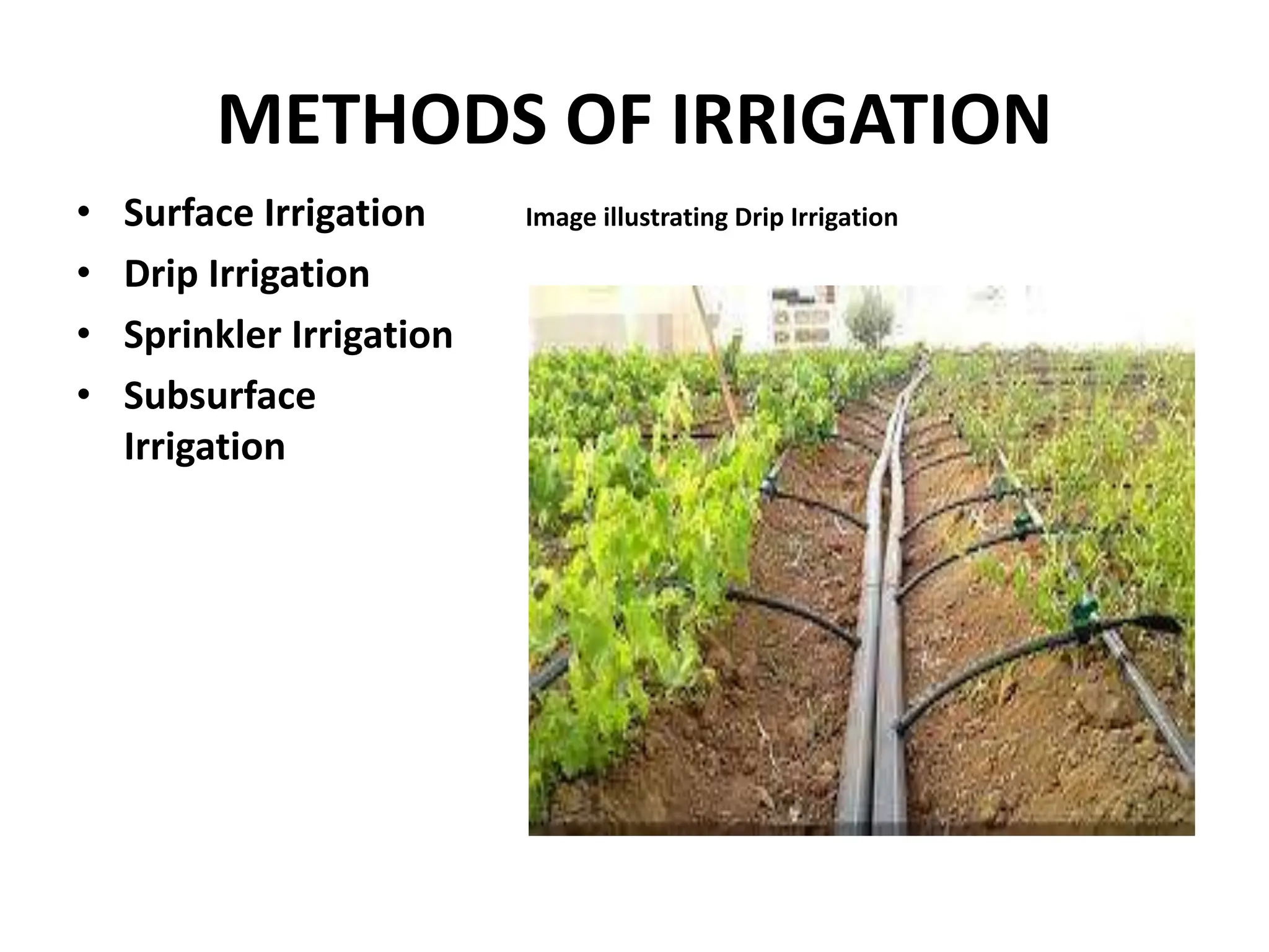 IRRIGATION PPT-1.pptx
