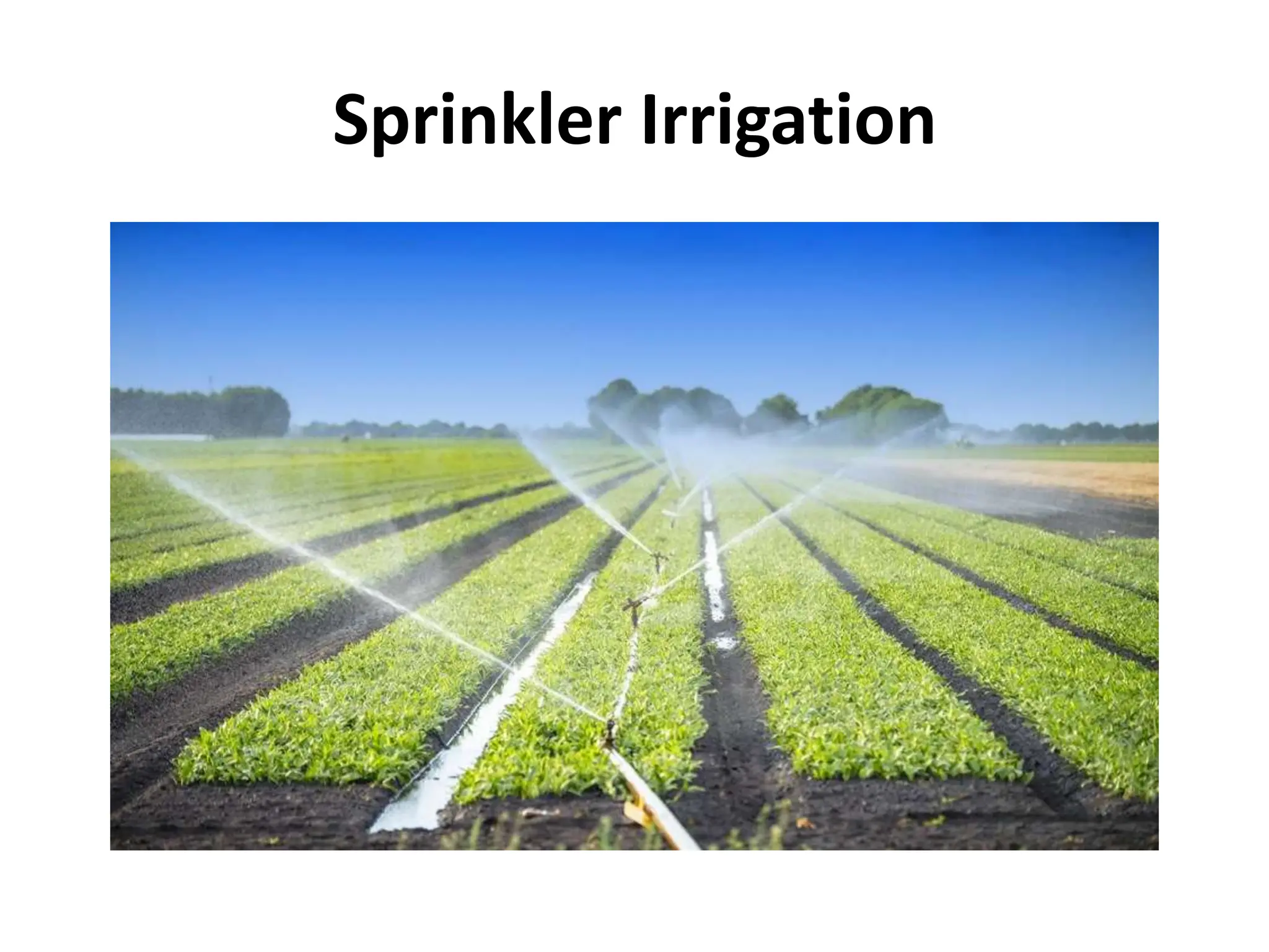IRRIGATION PPT-1.pptx