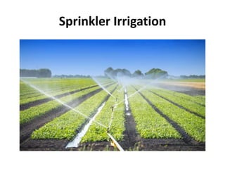 IRRIGATION PPT-1.pptx