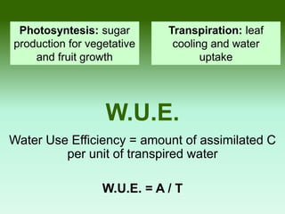 Irrigation Presentation.ppt