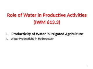Irrigation_Productivity_ background.pptx