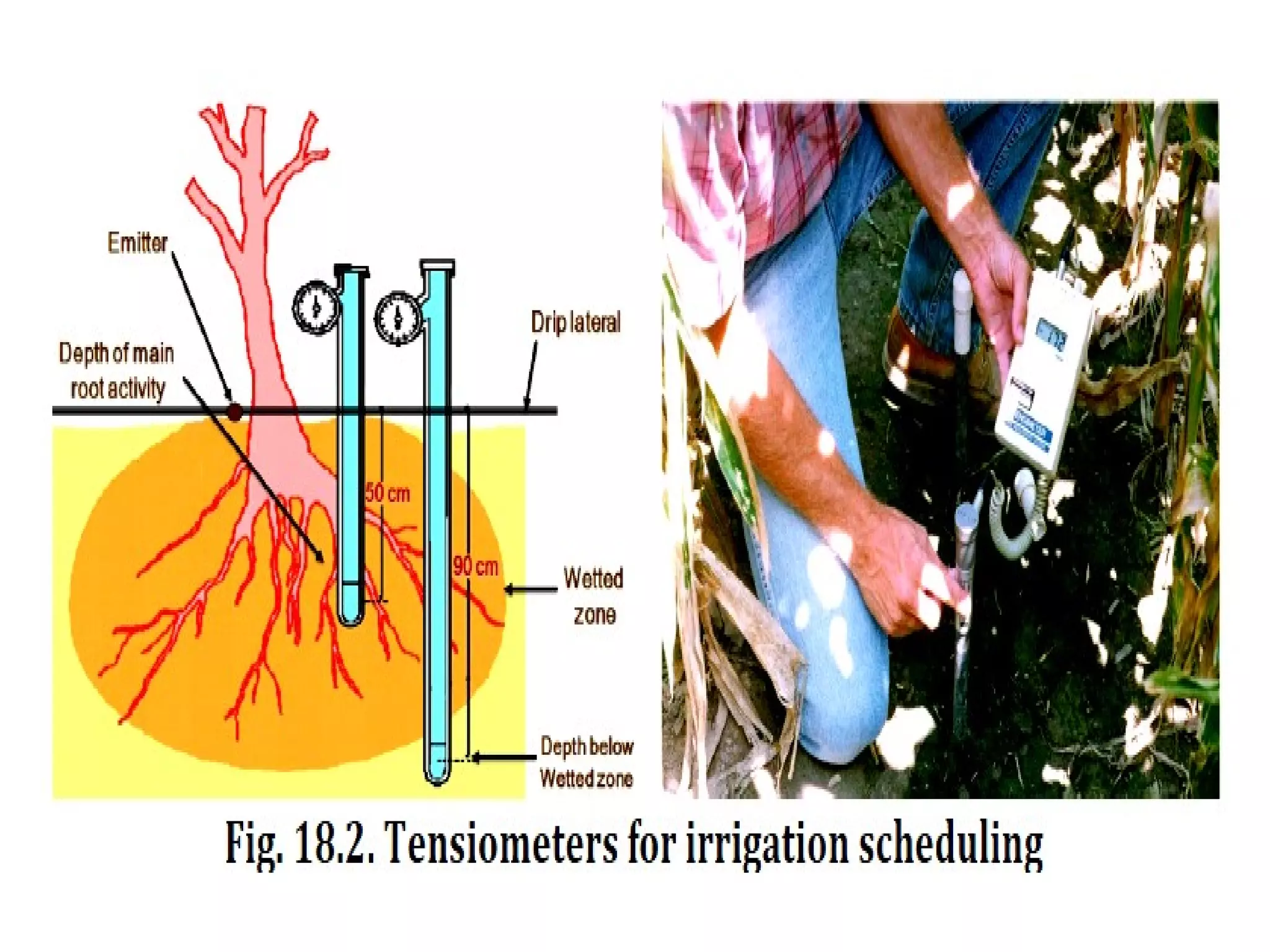 Irrigation scheduling | PPT