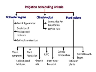 Irrigation scheduling | PPT