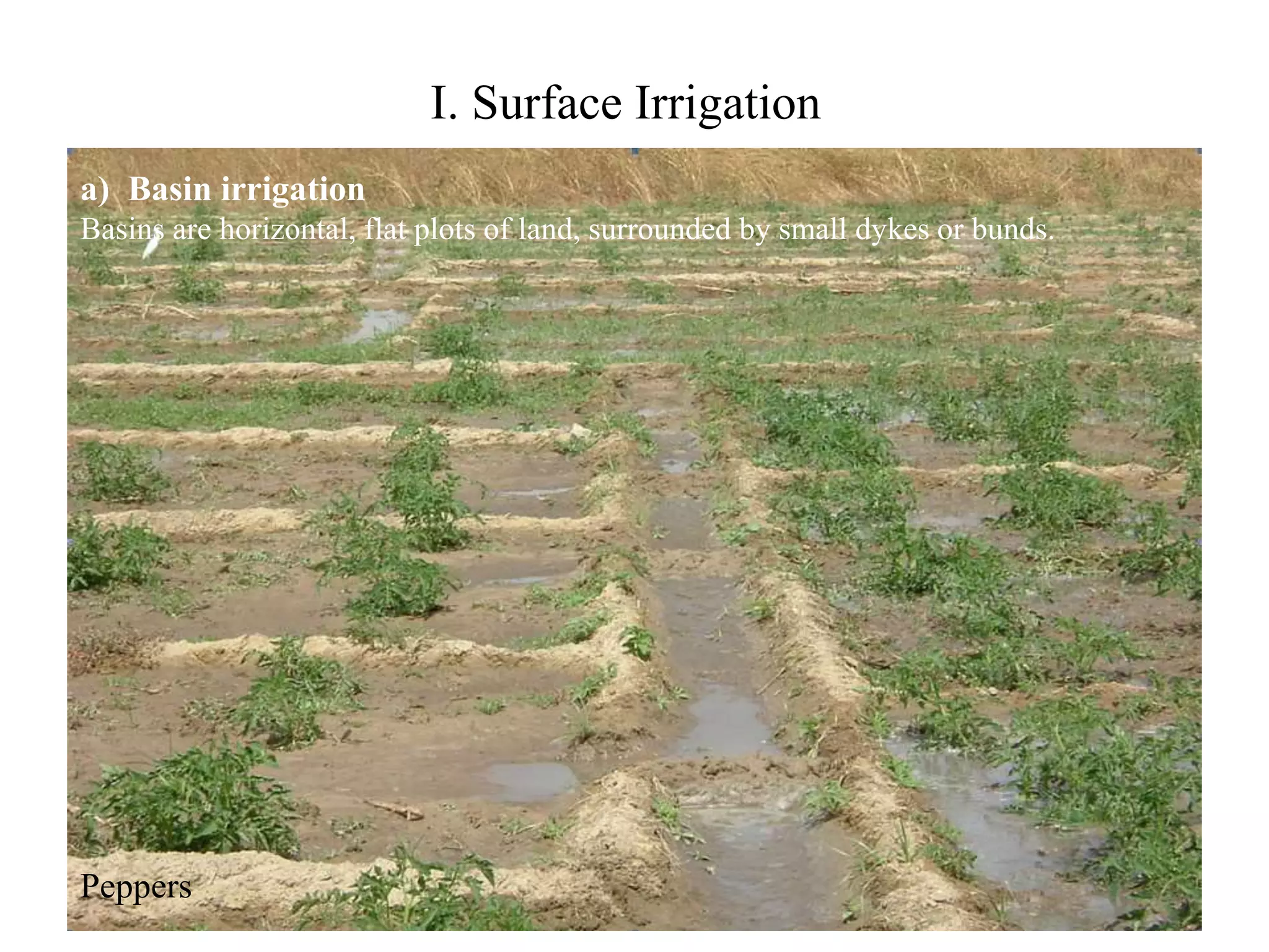 Irrigation system of Pakistan | PPTX