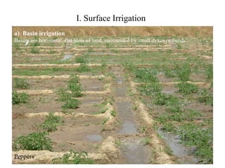Irrigation system 01 | PPTX