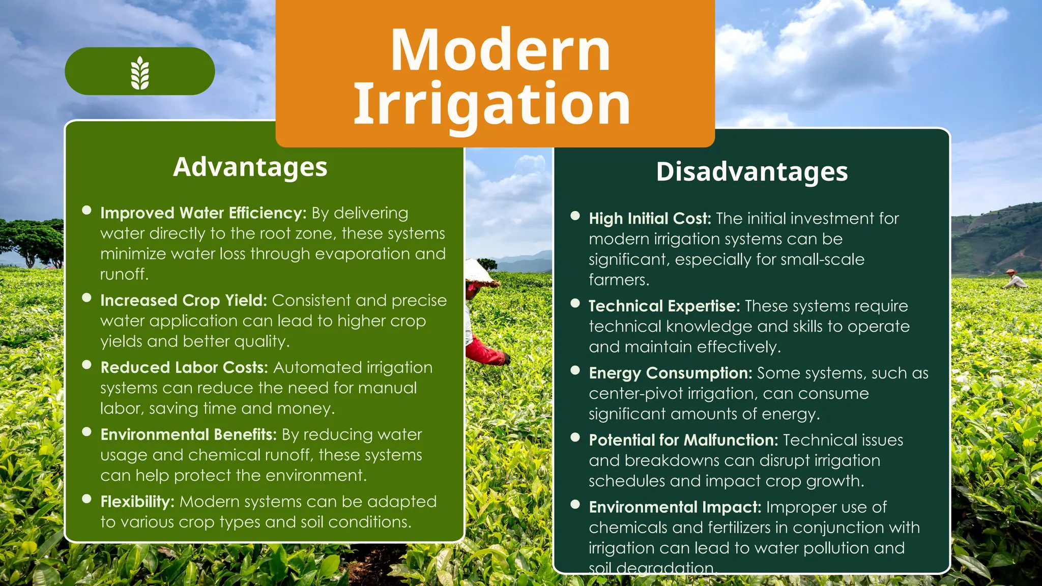 irrigation system (2).pptx eyyyyyyyyyyyyyyy | PPTX