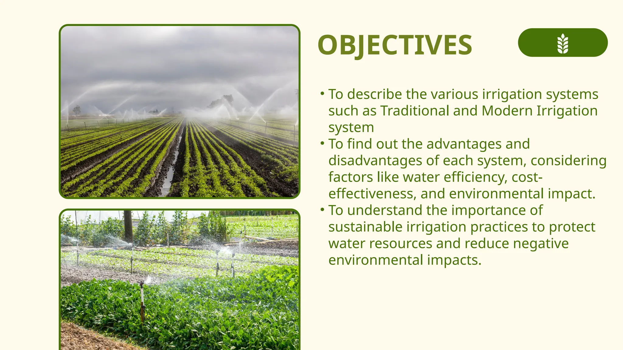 irrigation system (2).pptx eyyyyyyyyyyyyyyy | PPT