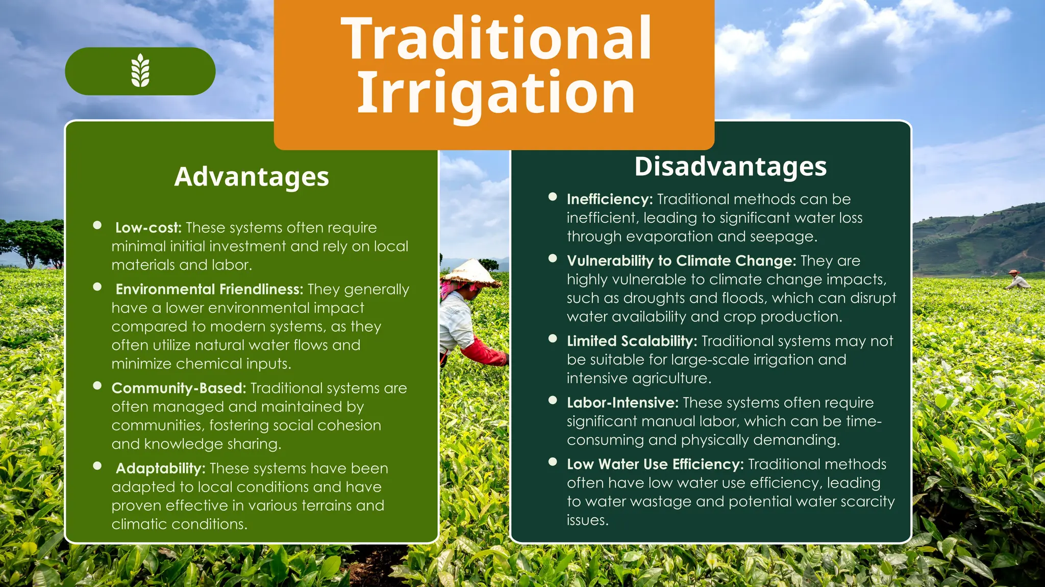 irrigation system (2).pptx eyyyyyyyyyyyyyyy | PPTX
