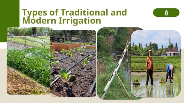 irrigation system (2).pptx eyyyyyyyyyyyyyyy | PPT