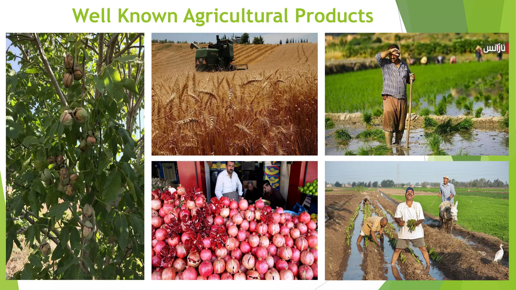 Irrigation system in kurdistan/Iraq | PDF