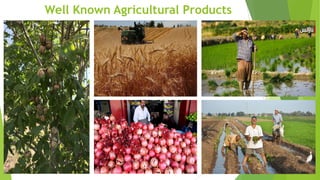 Irrigation system in kurdistan/Iraq | PDF