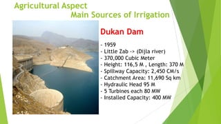 Irrigation system in kurdistan/Iraq | PDF