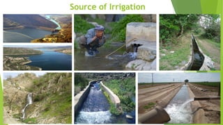 Irrigation system in kurdistan/Iraq | PDF