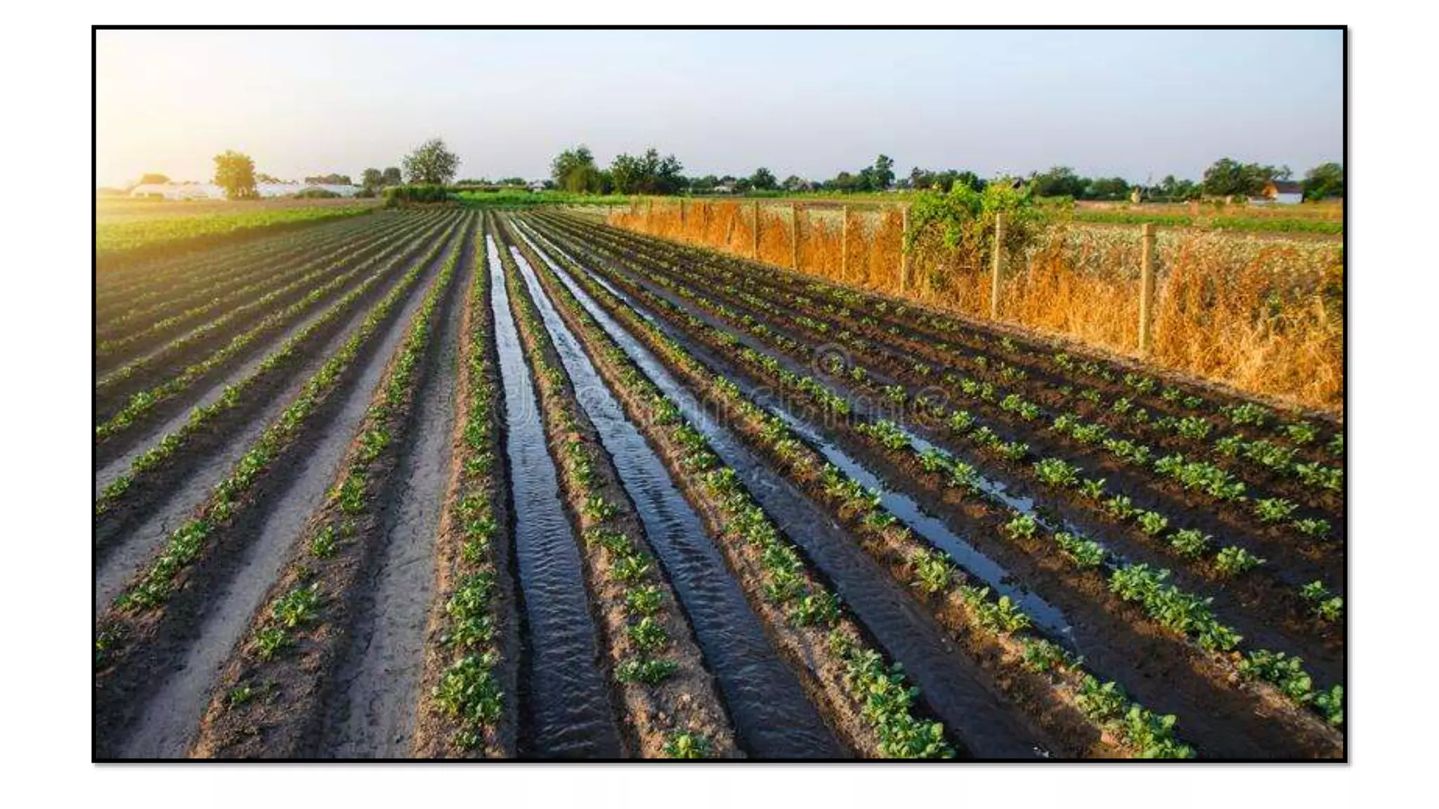 IRRIGATION SYSTEMS.pptx